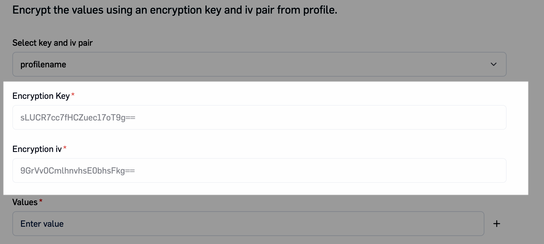 Encryption Key and Encryption IV fields highlighted in the Developer ...