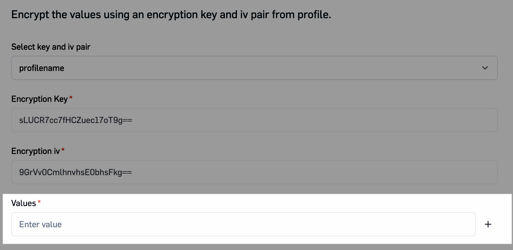Values field highlighted in the Developer IDE for Integrations UI