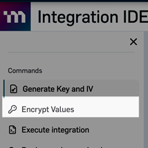 Encrypt Values option highlighted in the Developer IDE for Integrations UI
